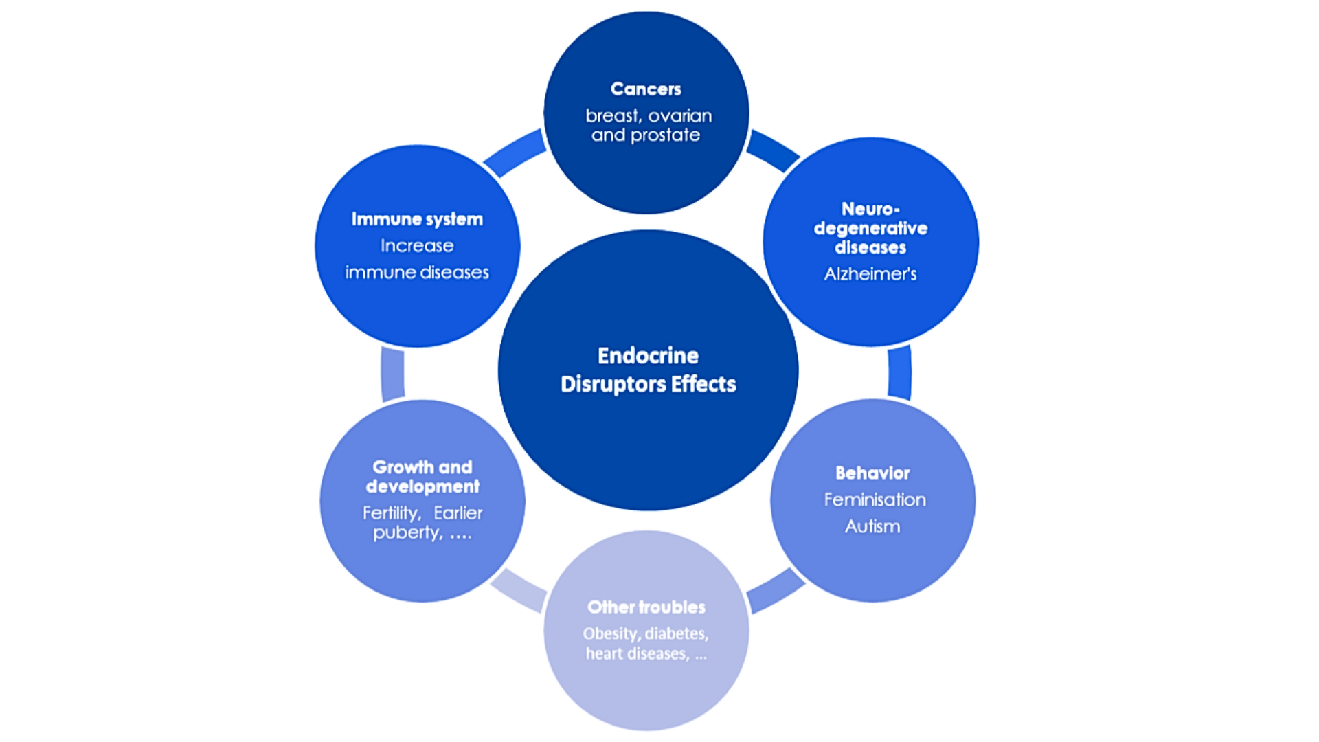 OED (Oestrogenic Endocrine Disruptor) Test – Petrakemindo Pratama Mandiri